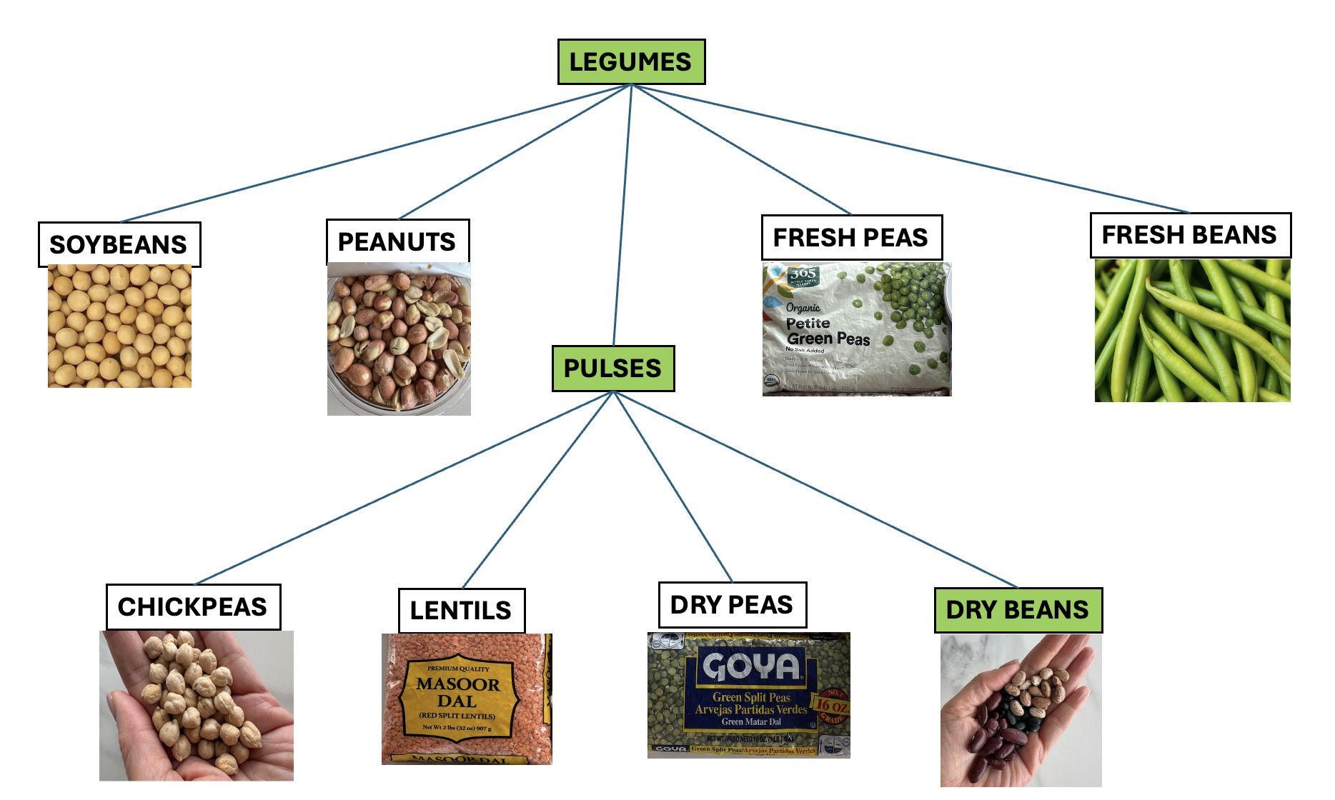 How to Incorporate Beans for a Stronger Microbiome: A Step-by-Step ...